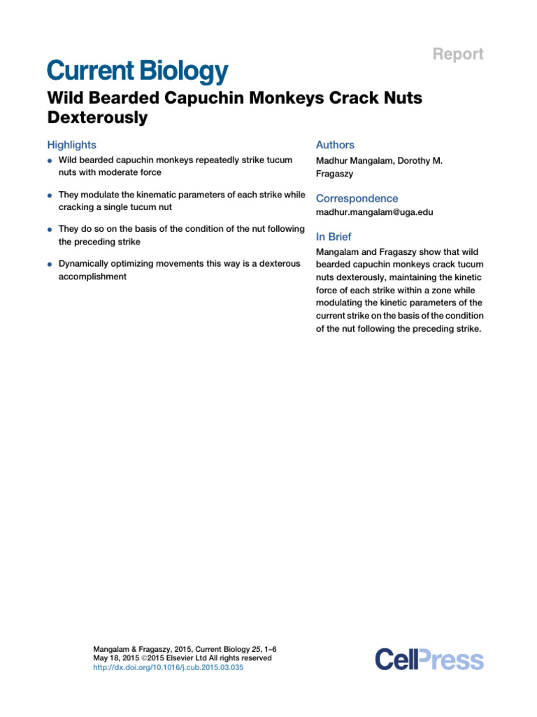 Wild Bearded Capuchin Monkeys Crack Nuts Dexterously | PDF | Fracture