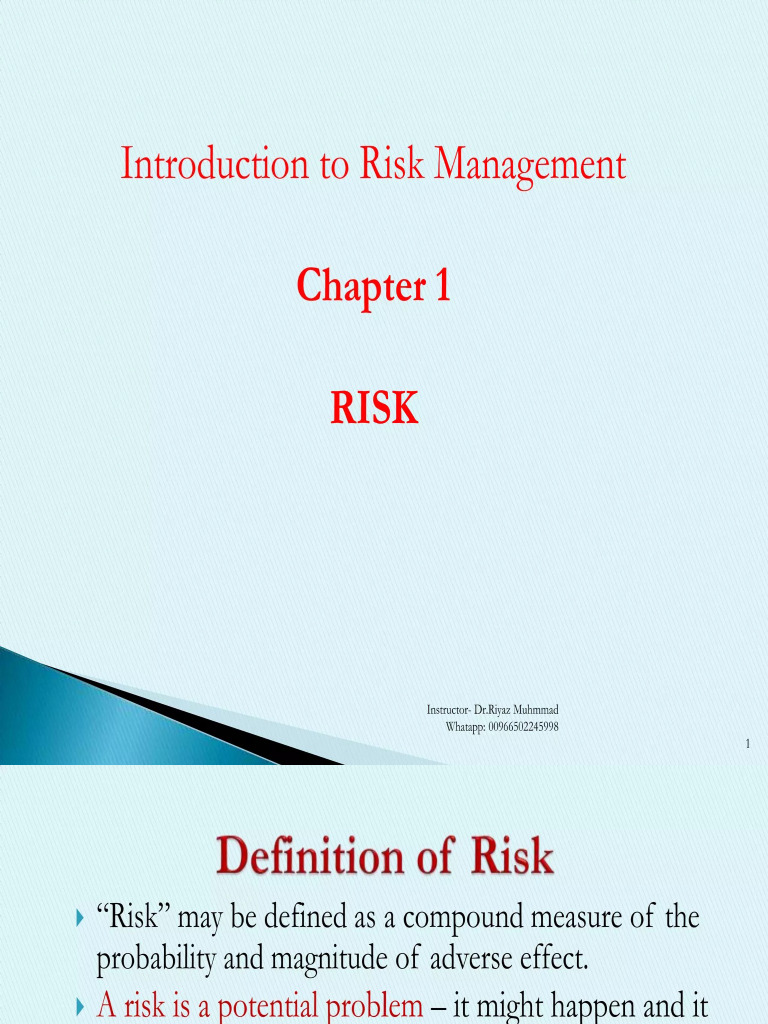 Intro To Risk Management | PDF
