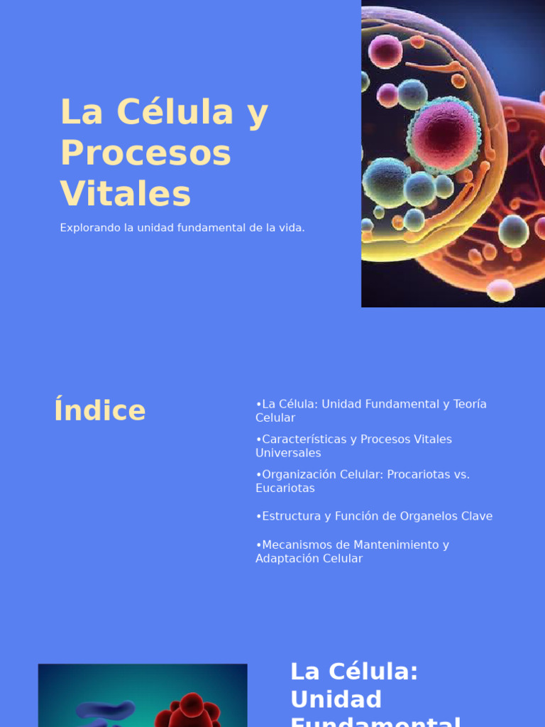 La Celula y Los Procesos Vitales | PDF | Biología Celular) | Nucleo celular