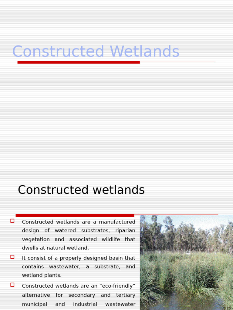 Constructed Wetland 5 | PDF | Wetland | Water