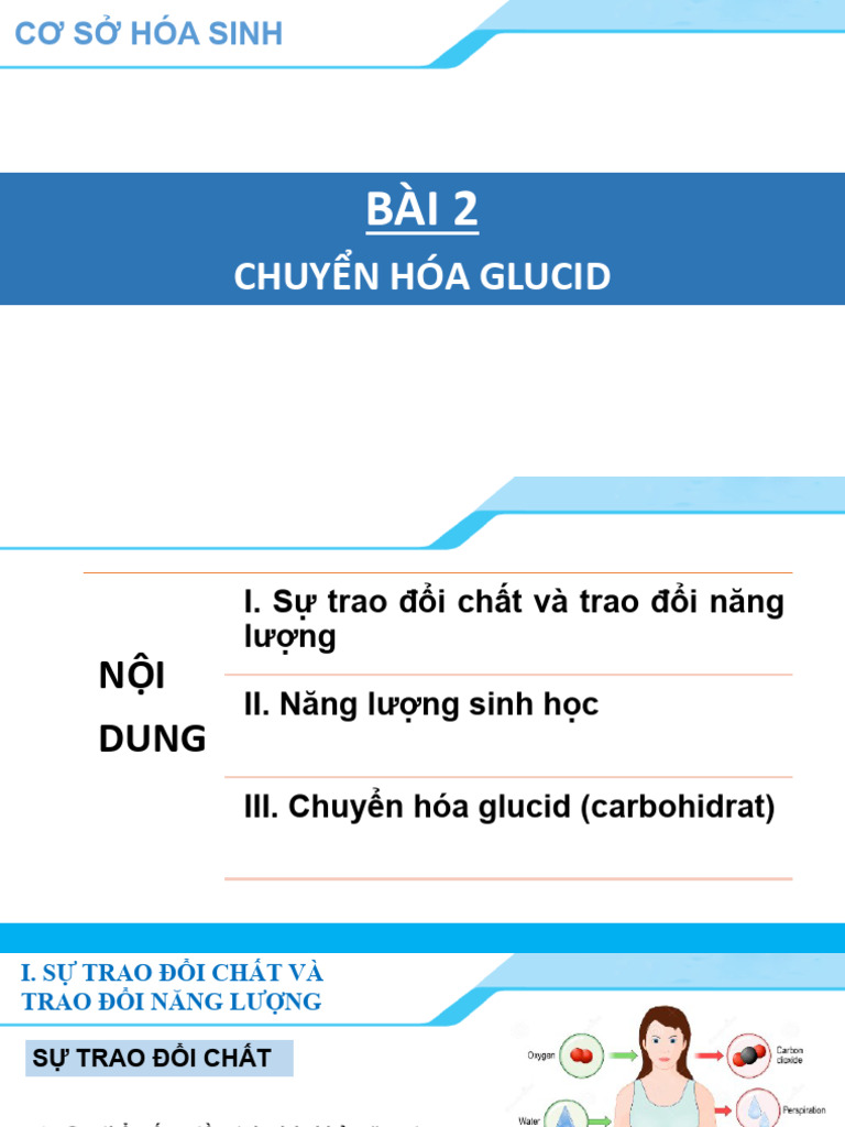 2. Chuyển Hóa Glucid | PDF