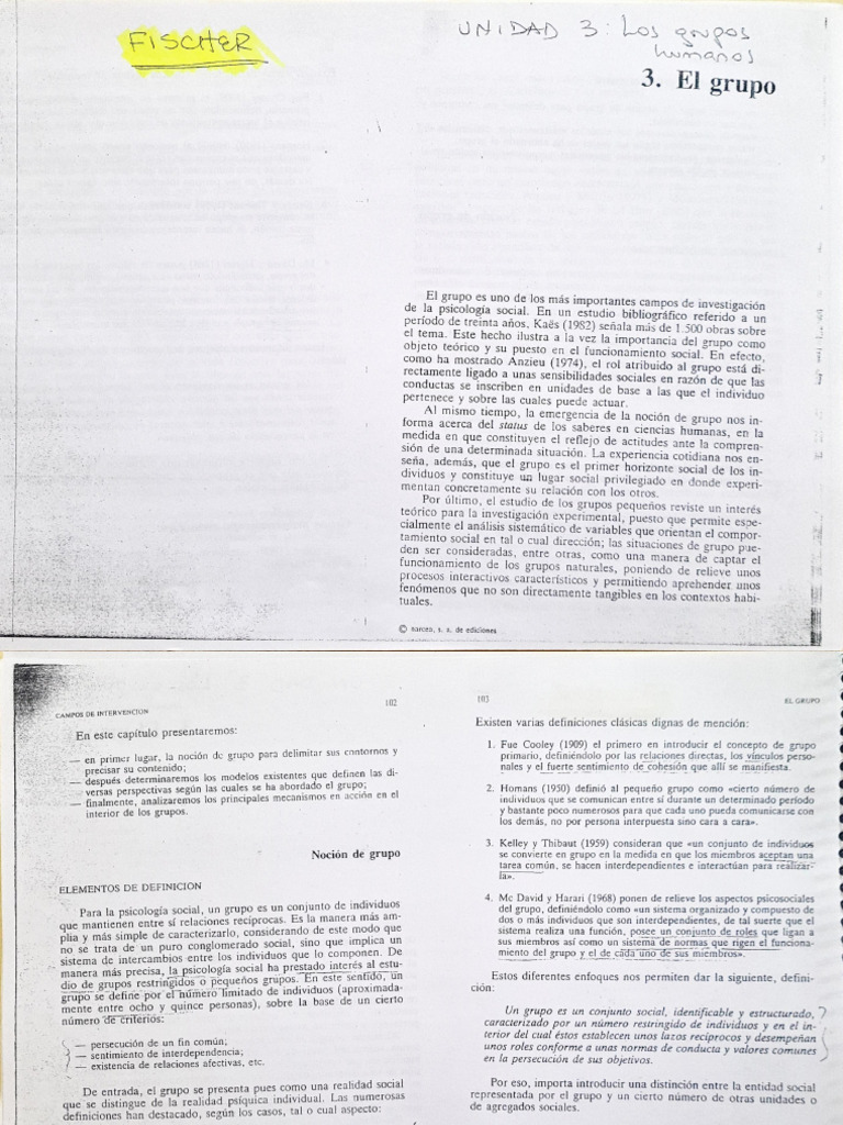 Grupo - Fischer - Unidad n3 | PDF