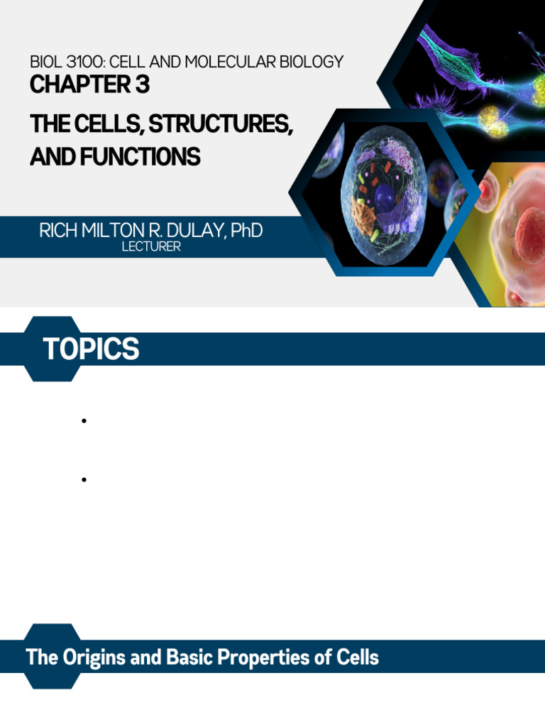 Chapter 3 The Cells Structures and Functions | PDF | Endoplasmic ...