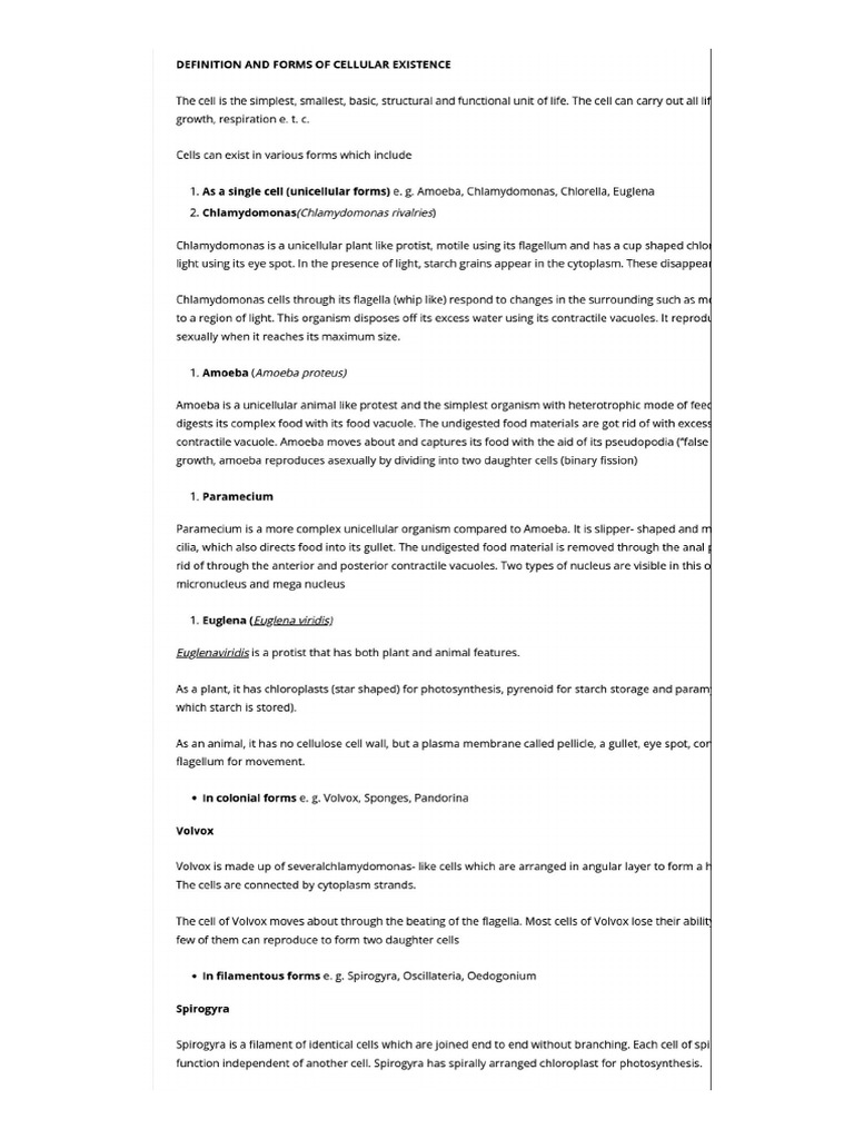 Ss1 Cell and Its Environment | PDF