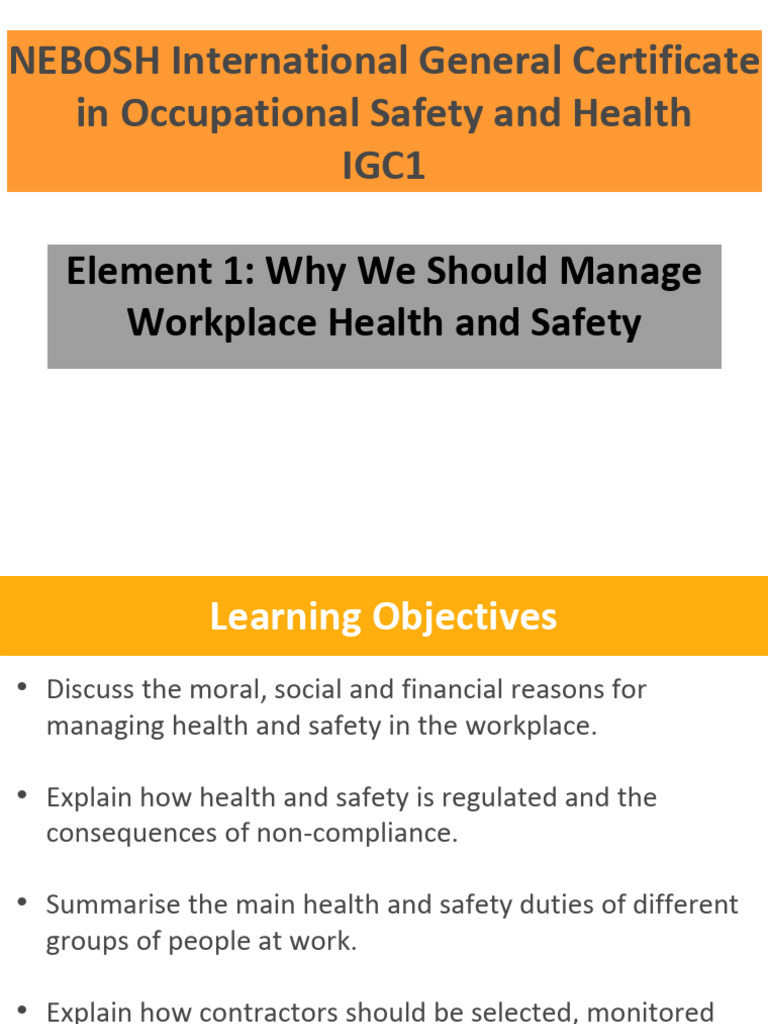 IG1 Element 1 | PDF | Occupational Safety And Health | Safety
