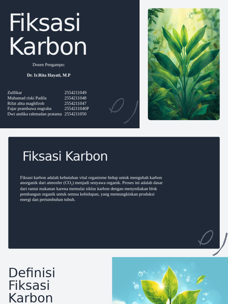 Fiksasi Karbon | PDF