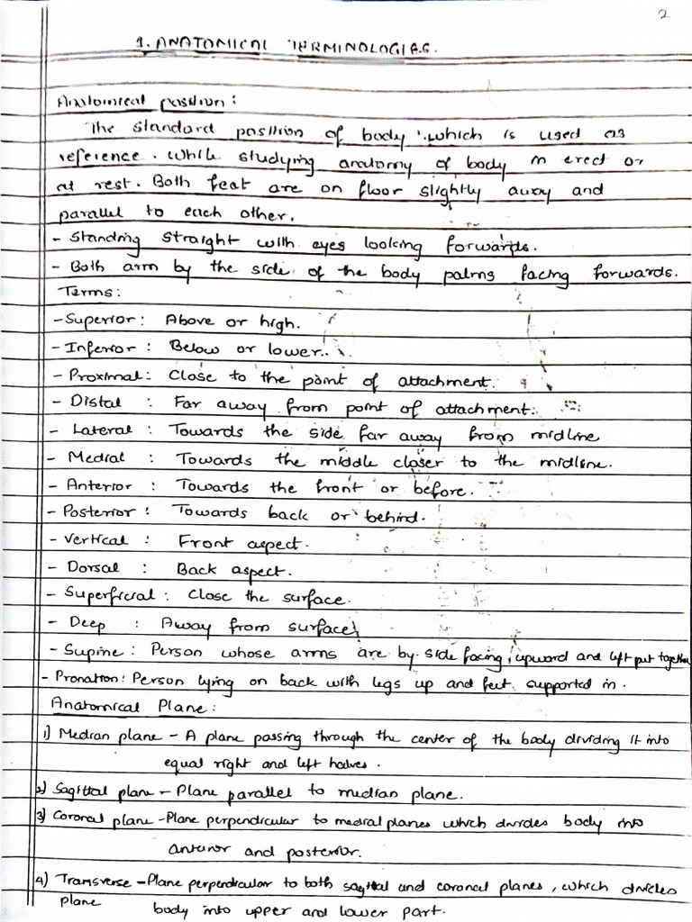 Anatomy Paper 1 | PDF