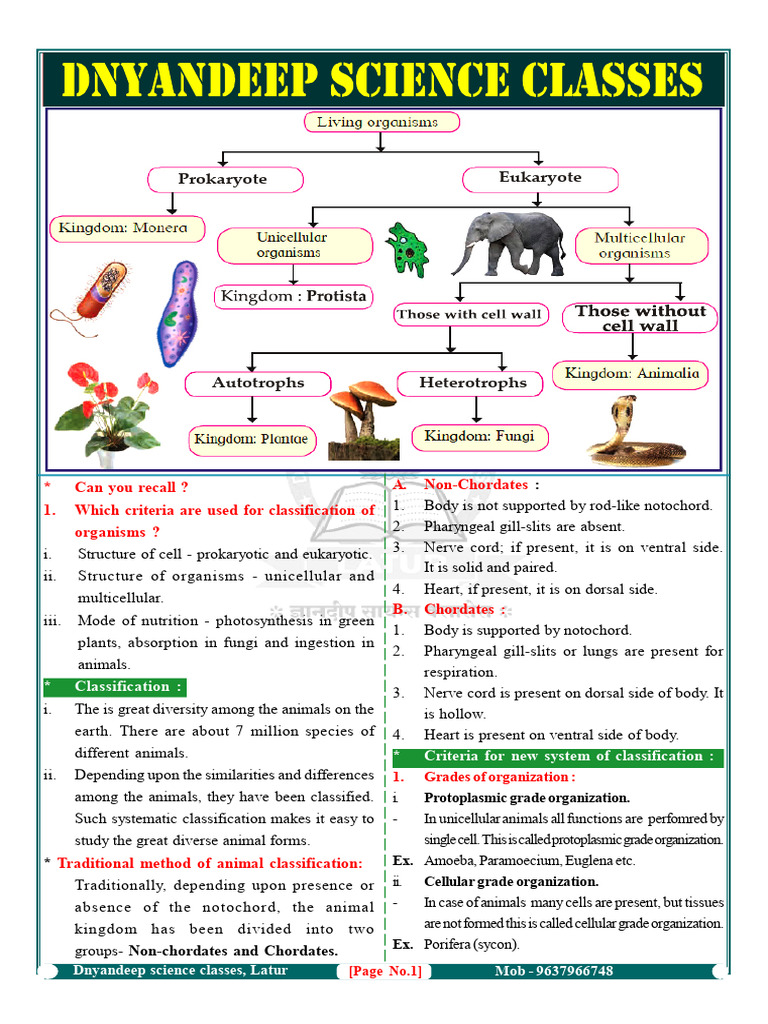 6. Animal Classification 30-09-2025 | PDF | Biology | Zoology