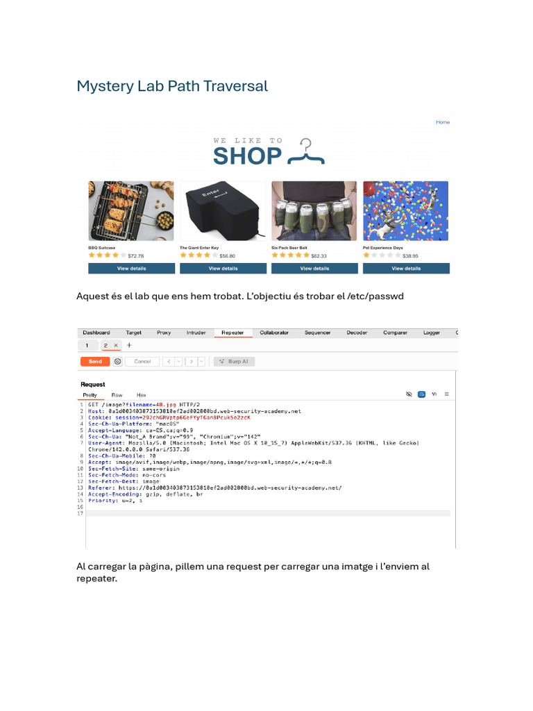Mystery Lab Path Traversal | PDF