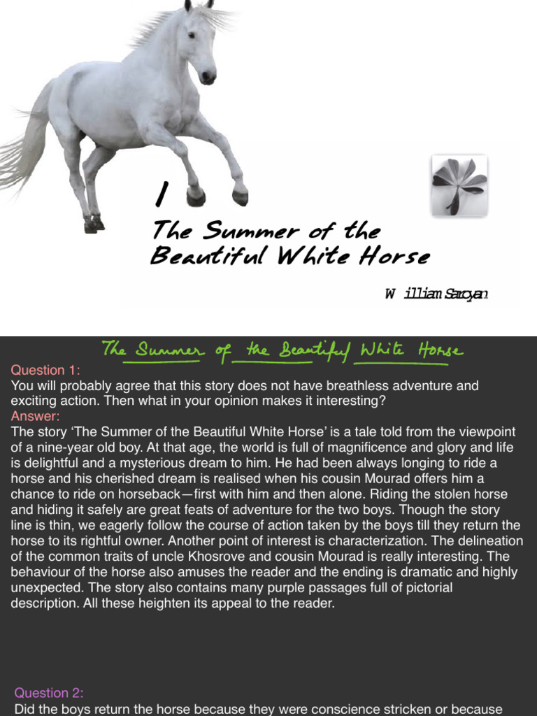 The Summer of The Beautiful White Horse | PDF