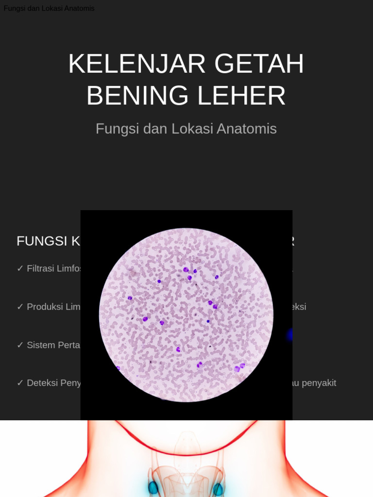 KELENJAR GETAH BENING LEHER - Fungsi dan Lokasi | PDF