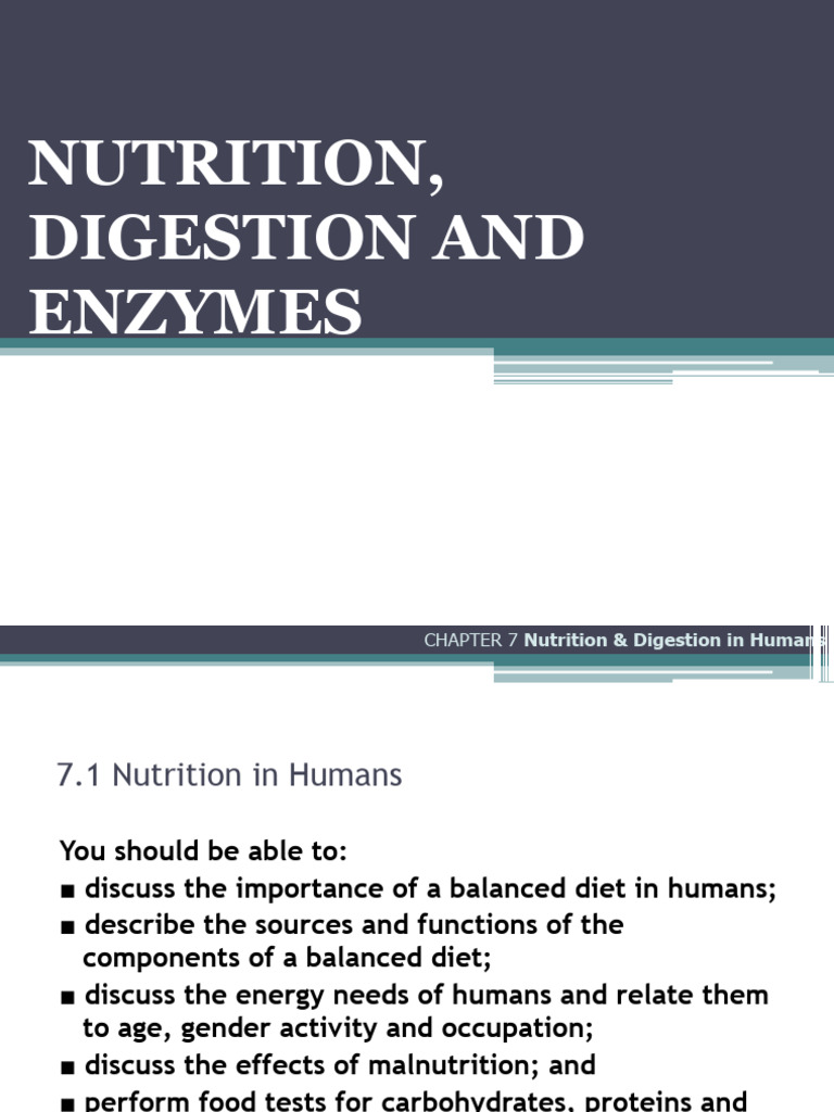 Human Nutrition and Digestion Overview | PDF | Digestion | Stomach
