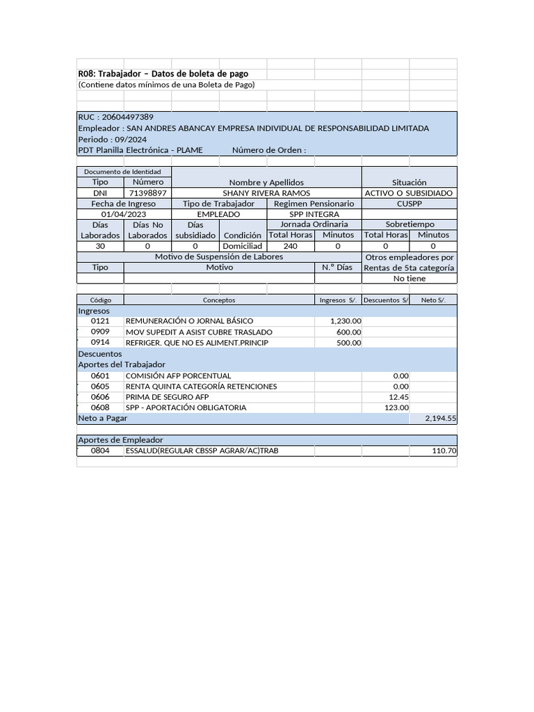Boletas de Pago Shany | PDF | Labor | Relaciones laborales