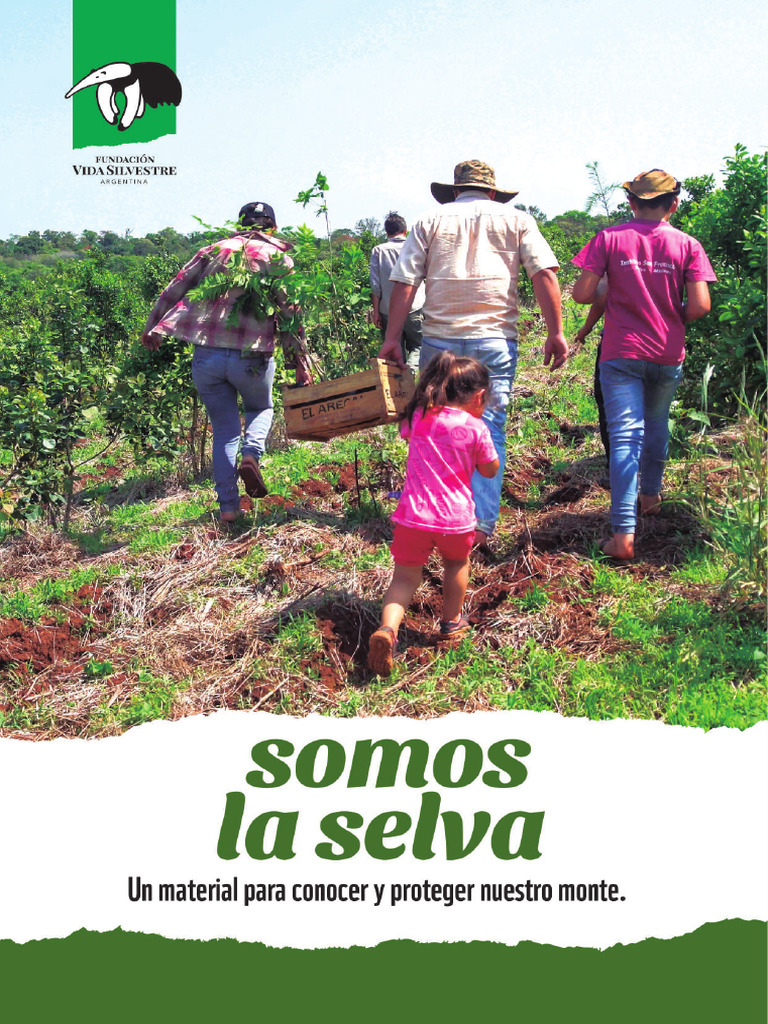 2024 Guia Somos La Selva Digital Media | PDF | Fuego fatuo | Jaguar