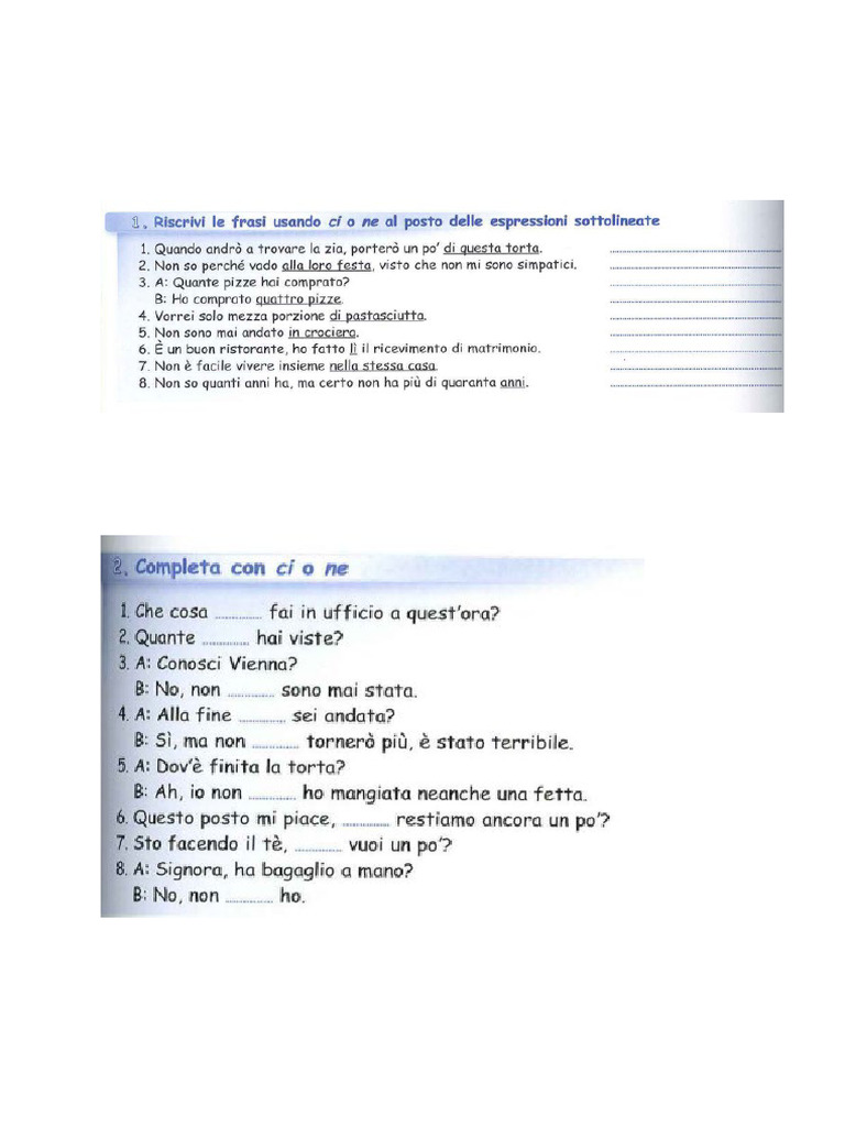 Ci Ne Esercizi | PDF