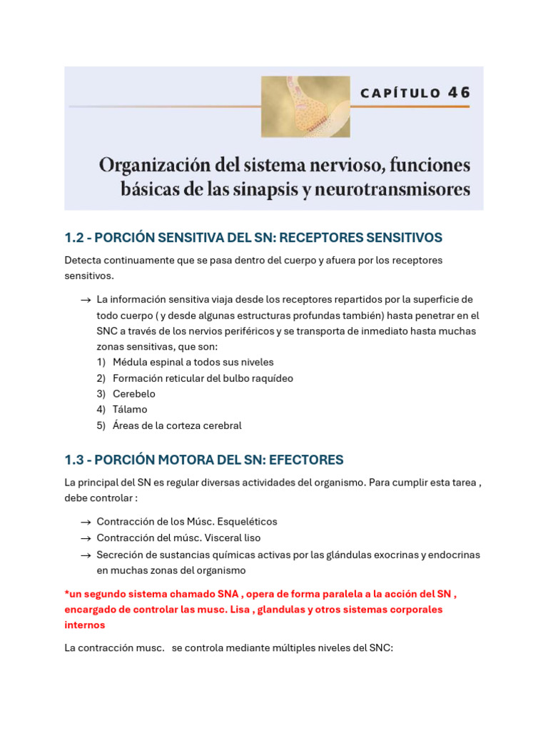 Fisio 2 - Cap 46 - Guyton y Hall | PDF | Sinapsis | Neurona