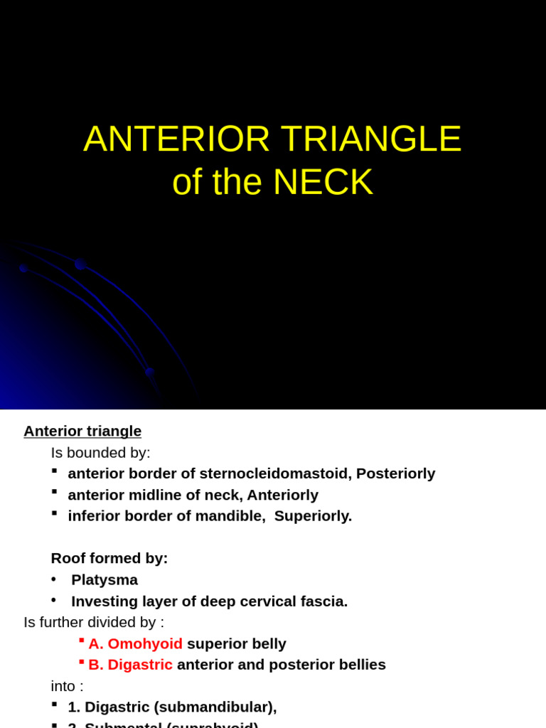Lecture 6A Anterior Triangle of the Neck Lecture | PDF | Common Carotid Artery | Neck