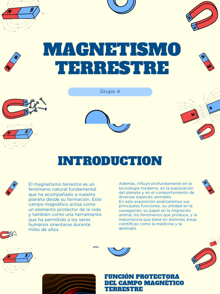 Playful Magnetism Science Project Presentation_20251124_120510_0000 ...