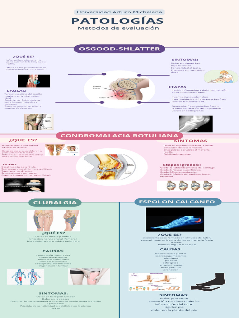 Síntomas y causas de lesiones en rodillas | PDF | Rodilla | Pie