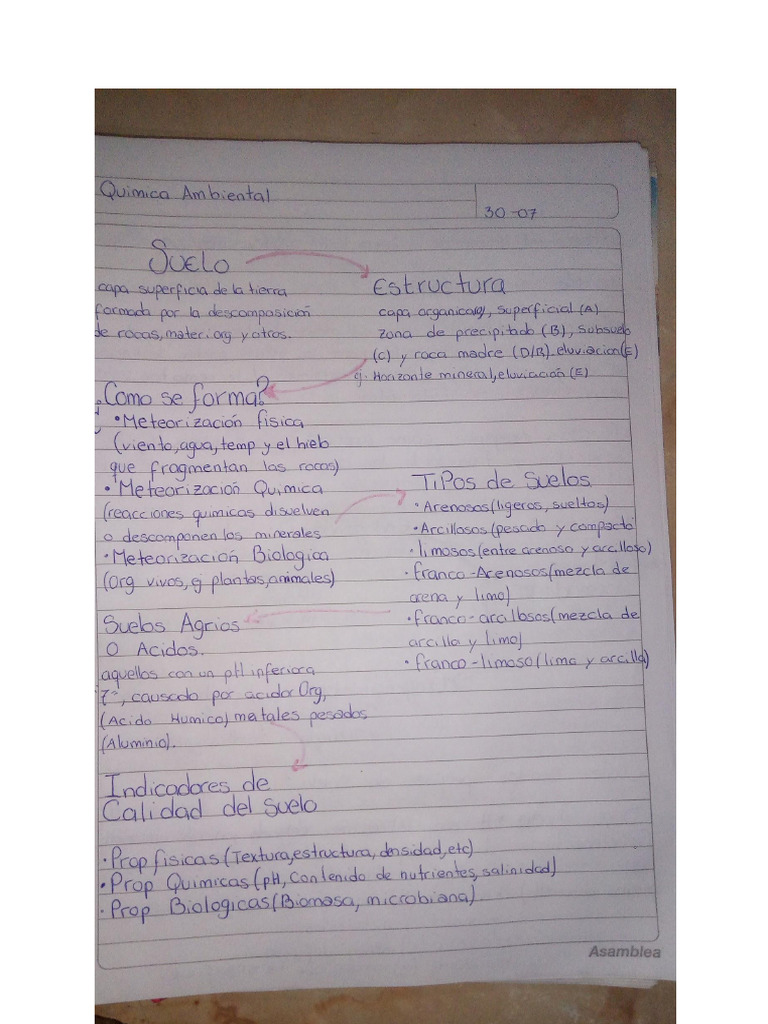 Química Ambiental, Tema Suelo,Diaz Martina | PDF