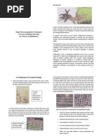 Maggot Farming | PDF | Fly | Agriculture