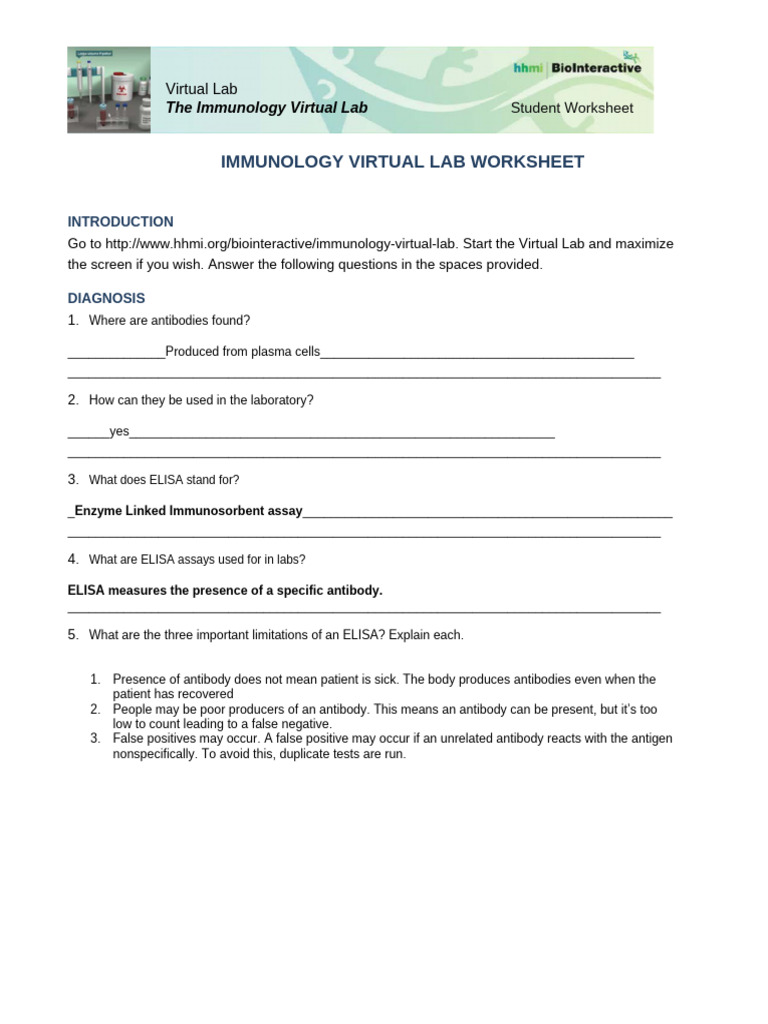 Immunology Lab Worksheet Student COMPLETE | PDF | Elisa | Antibody