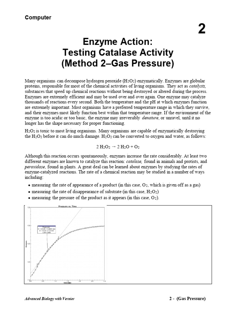 Enzyme Activity: Catalase Gas Pressure Test | PDF | Catalase | Catalysis