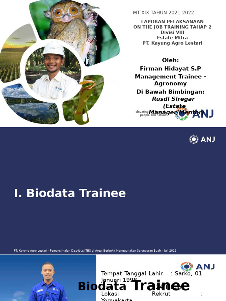 PPT_OJT_II_FIRMAN_HIDAYAT_(Done)[1] | PDF