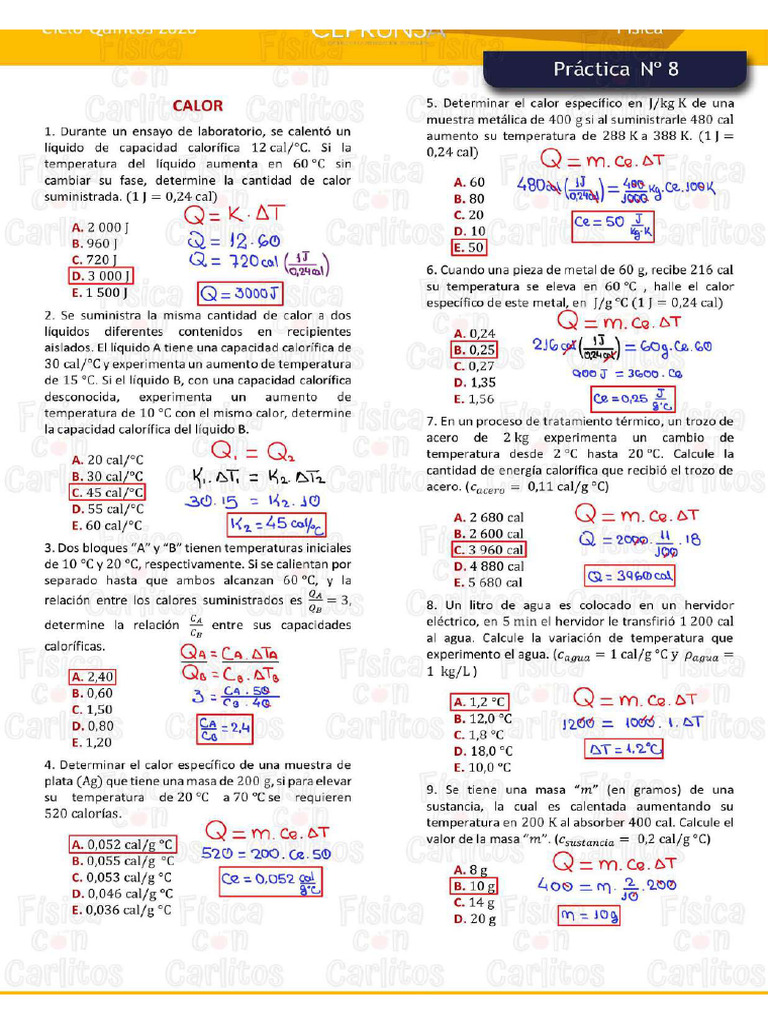 Sol Sem 8 Fisica | PDF