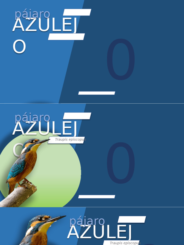 Pajarito Azul Trabajo 1 | PDF