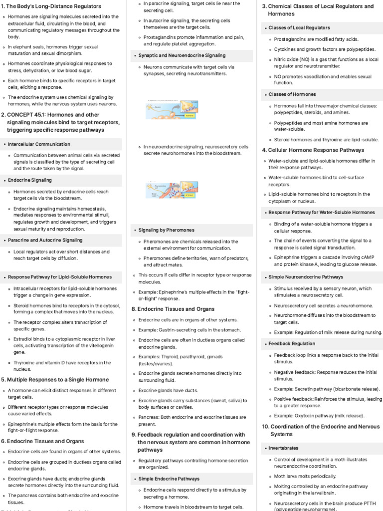 AP BIO Chapter 45_cheatsheet | PDF | Cell Signaling | Hormone