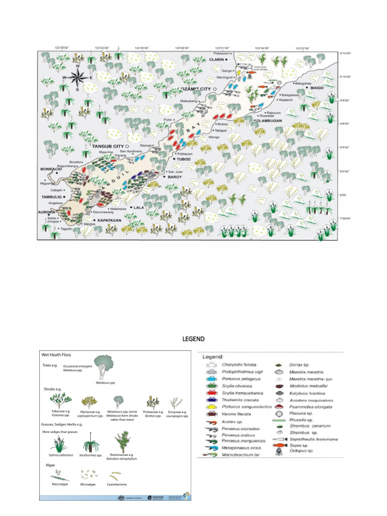 Vegetation Map | PDF