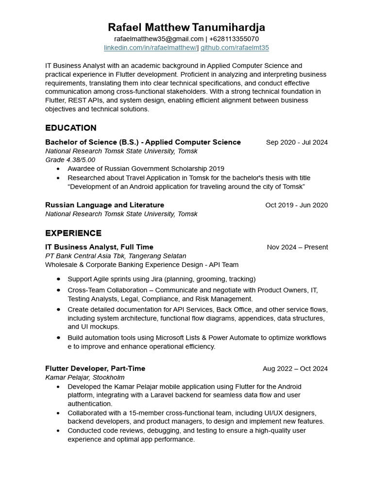 CV Rafael 2025 | PDF | Mobile App | Software Development
