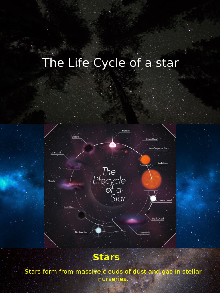 Star Life Cycle: From Nebula to Remnant | PDF | Stars | Supernova