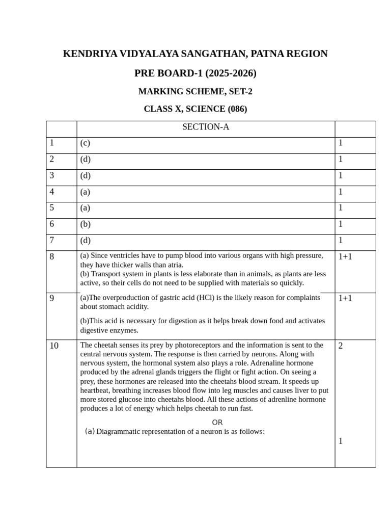 Marking Scheme Class X Science (SS) | PDF | Rust | Acetic Acid