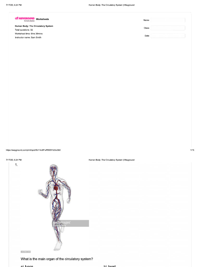 1.1 Homework Circulatory System | PDF