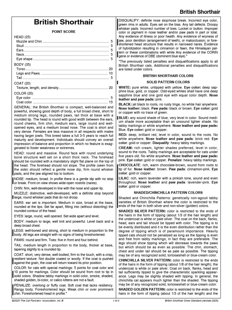 British Shorthair Standard | PDF | Cats