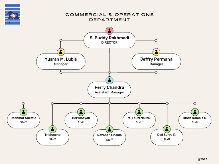 Commercial Operations Team Structure | PDF