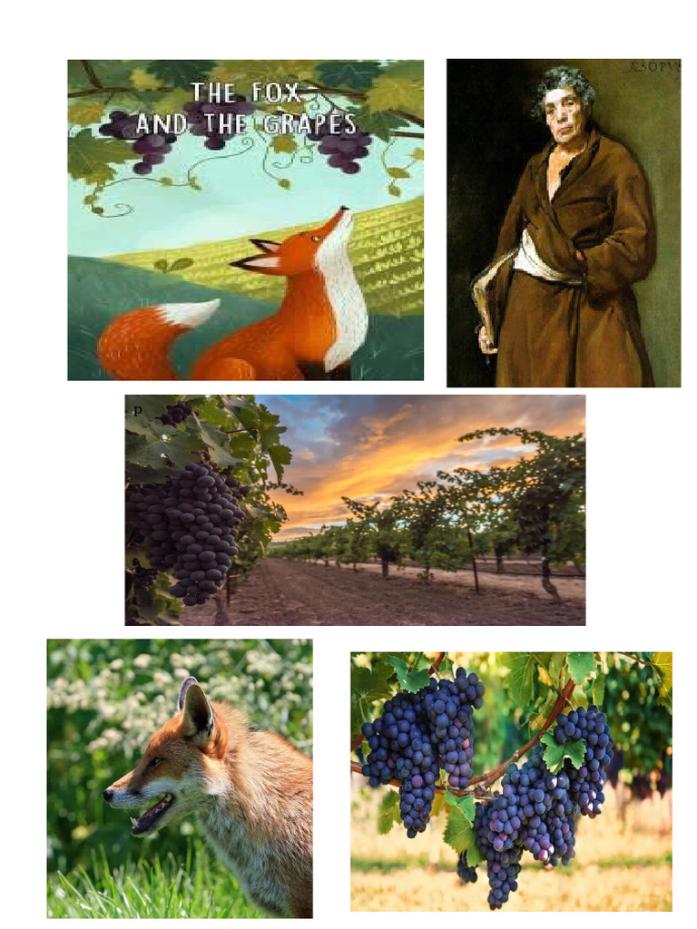 Pictures The Fox and The Grapes | PDF