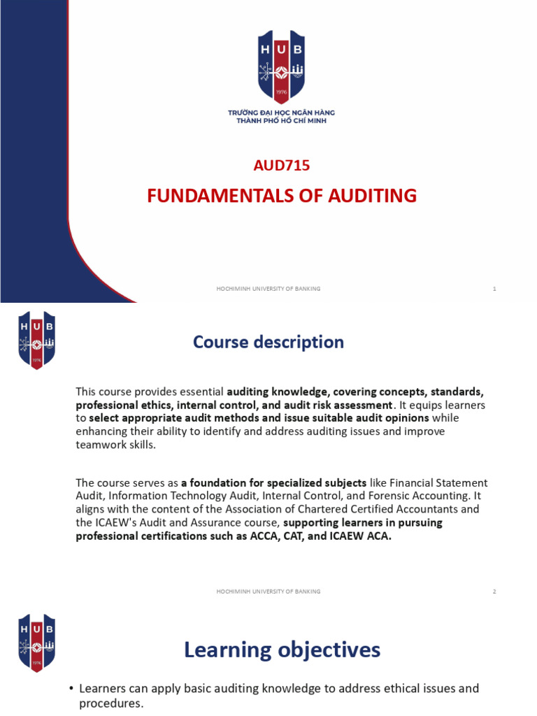 Fundamentals of Auditing Course Overview | PDF | Audit | Internal Control