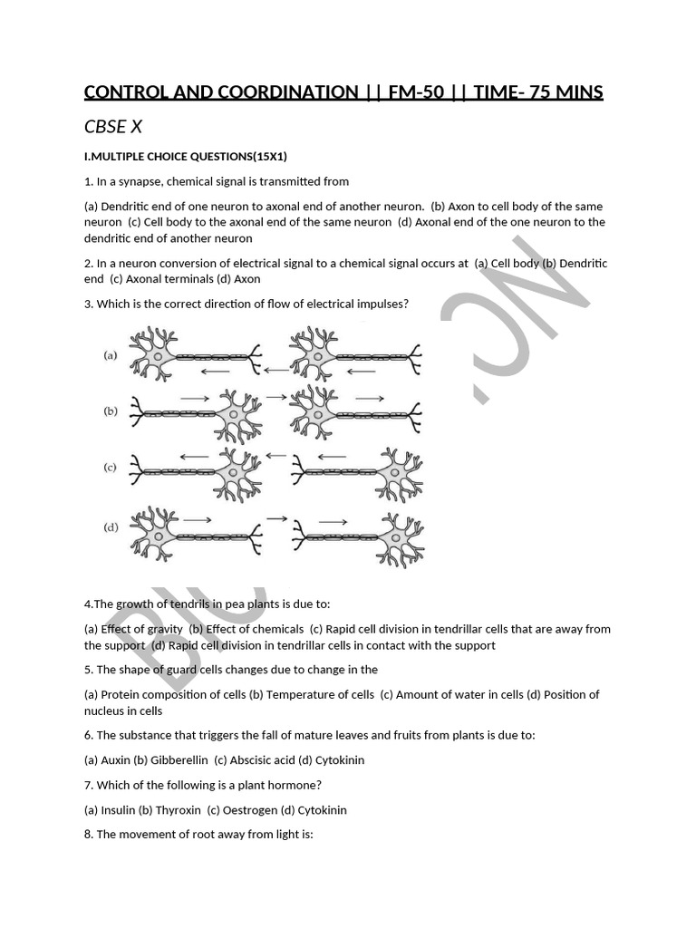 Control and Coordination Cbse 10 | PDF | Neuron | Axon