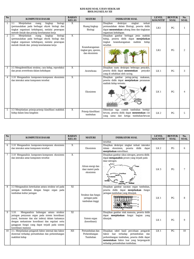 Kisi-kisi Us Biologi | PDF