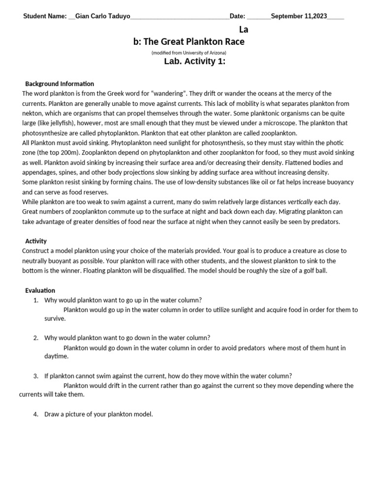 Great Plankton Race Lab Activity | PDF | Plankton | Aquatic Organisms