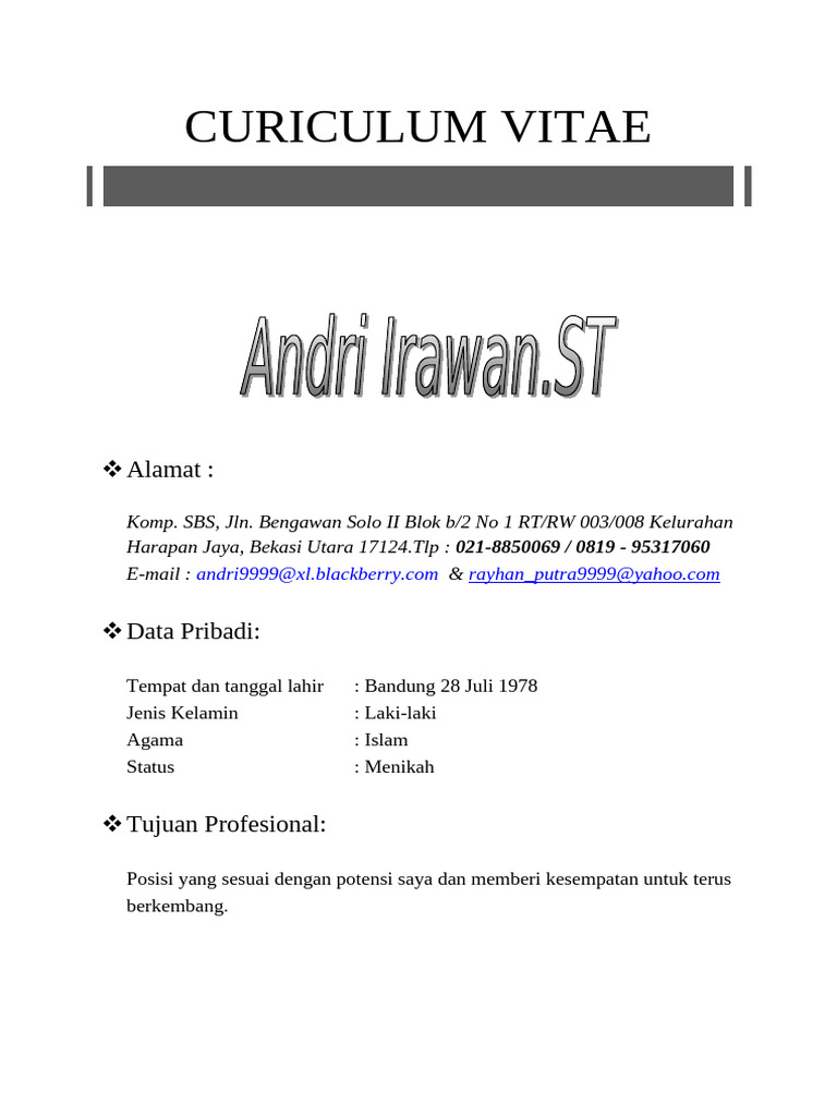 CV Andri | PDF