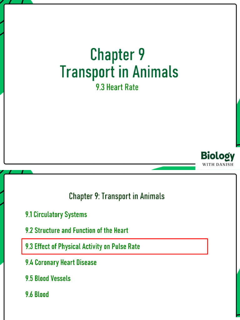 Heart Rate | PDF