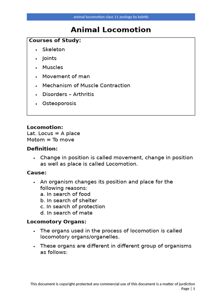 Animal Locomotion 2025 | PDF | Muscle Contraction | Actin