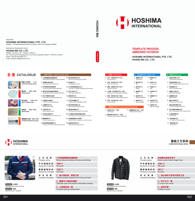 Hoshima Template Technology | PDF