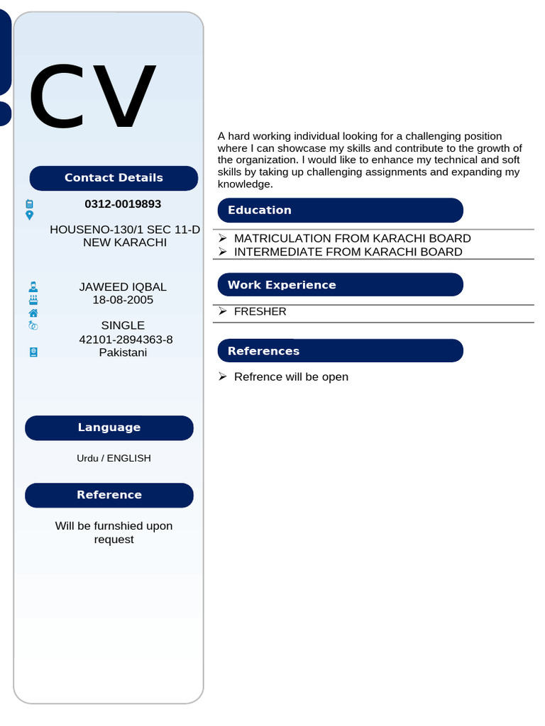 New Cv Pattern Without PIC | PDF
