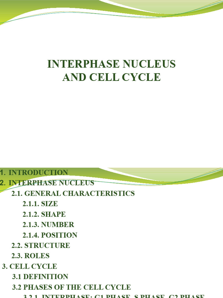 Noyau interphasique et cycle cellulaire | PDF | Cycle cellulaire ...