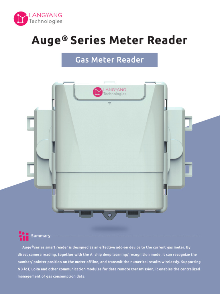 L Gas Meter Reader | PDF